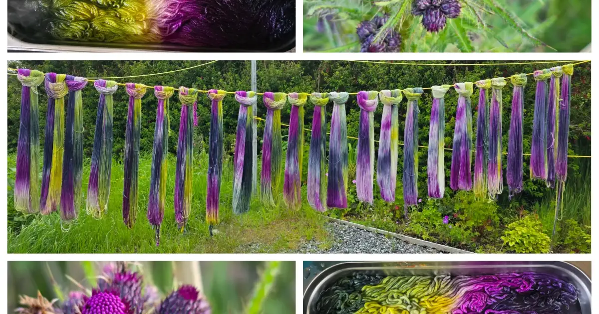 Thistle Yarn preorder - Chunky | The Weaving Shed